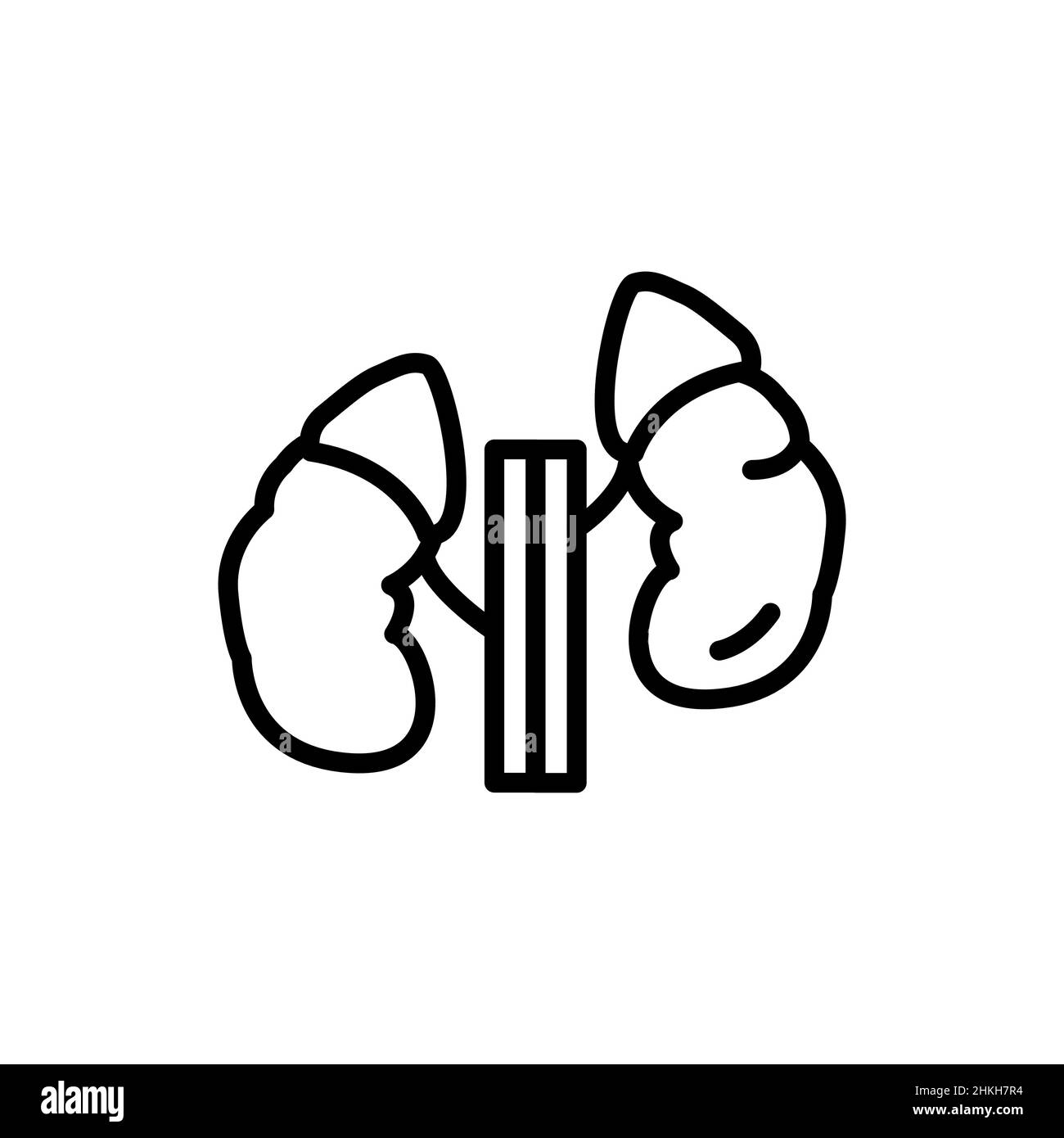 Human organ adrenal glands color line icon. Isolated vector element ...