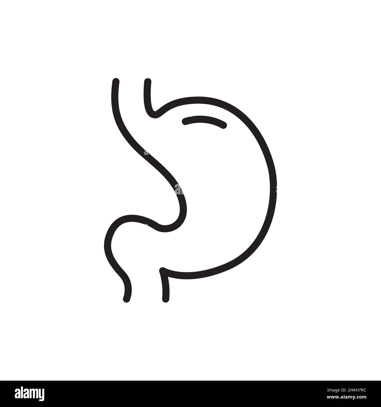 Human organ stomach color line icon. Isolated vector element. Outline ...