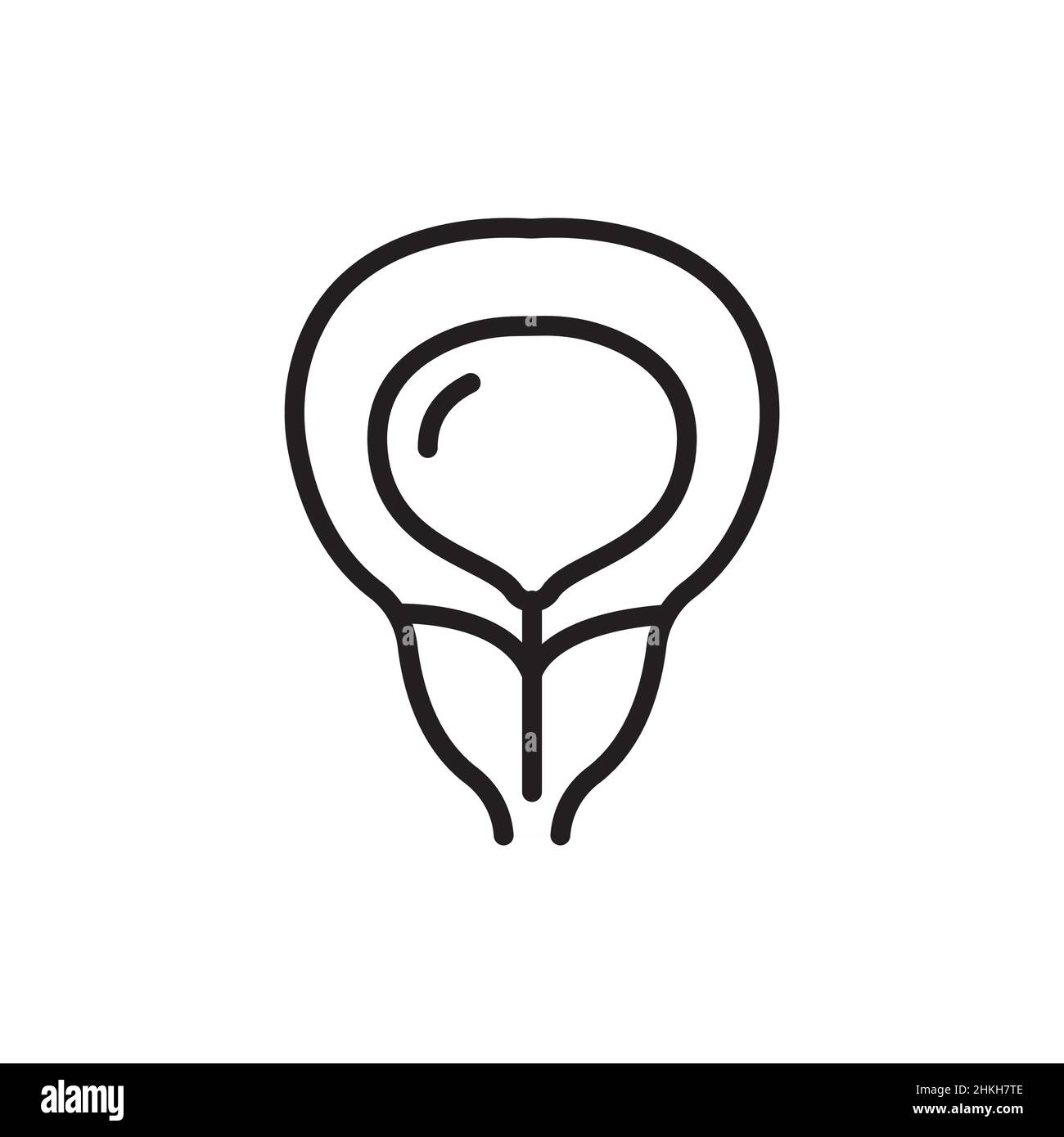 Human organ bladder color line icon. Isolated vector element. Outline ...