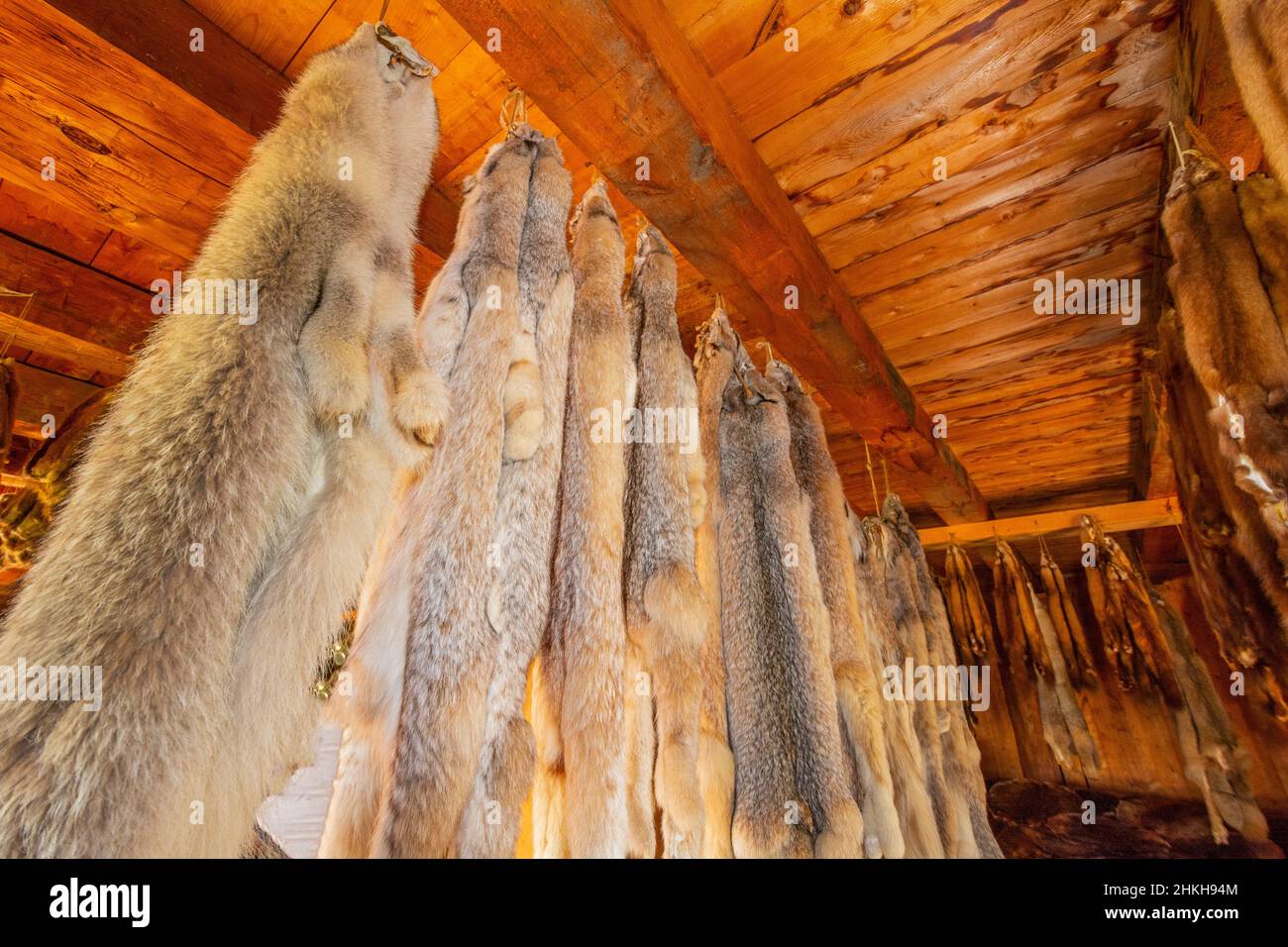 Hudson's bay store interior hi-res stock photography and images - Alamy