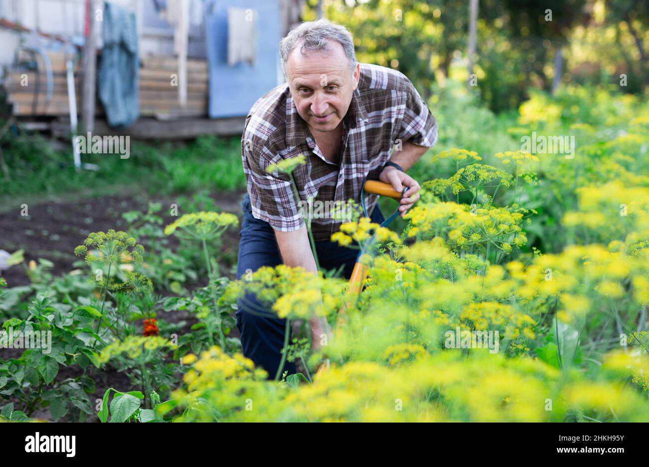 Man in garden shovel digging hi-res stock photography and images - Alamy