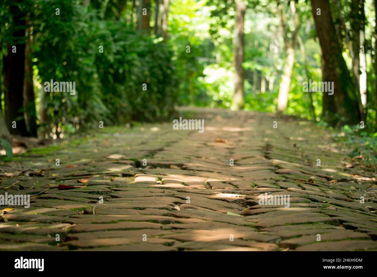 Empty road with bricks building hi-res stock photography and images - Alamy