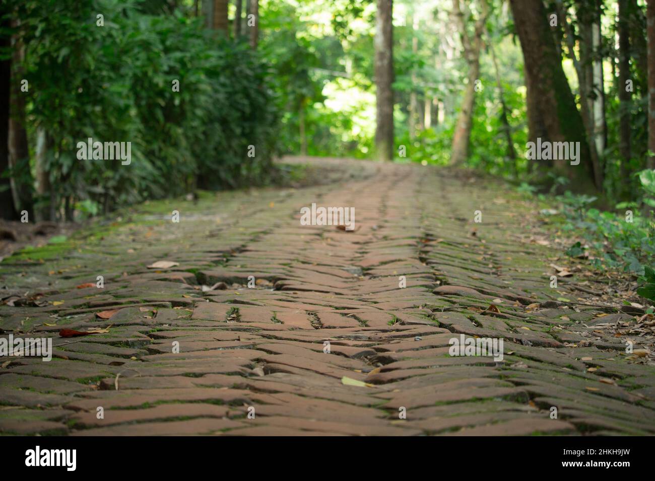 Empty road with bricks building hi-res stock photography and images - Alamy