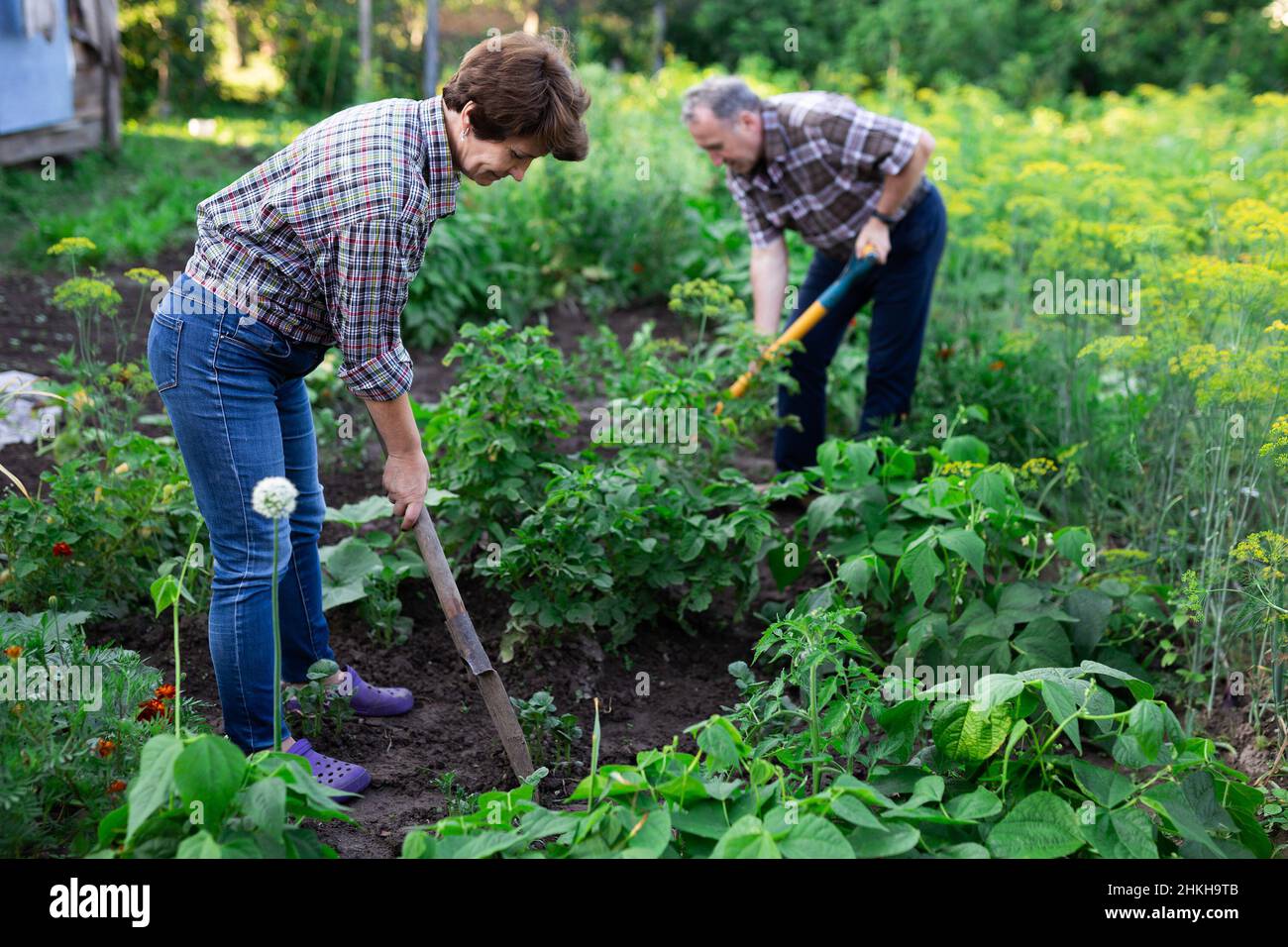 Portrait man woman gardeners hi-res stock photography and images - Alamy