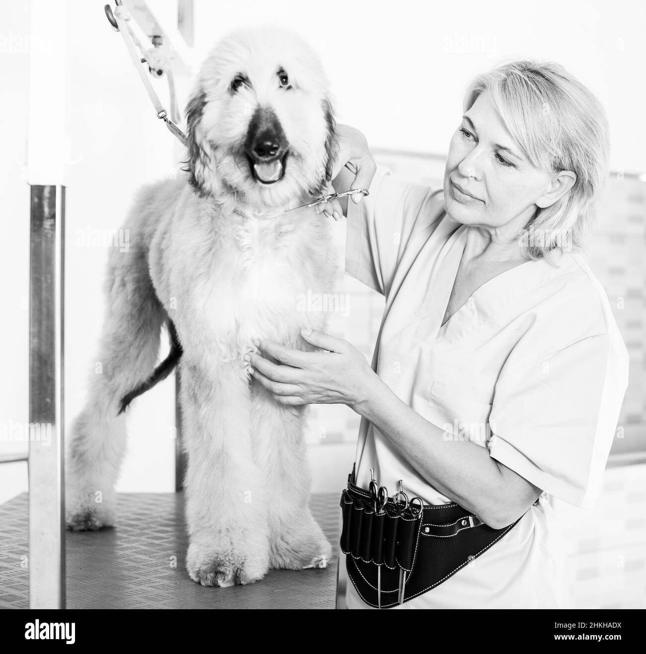 Hairdresser scissors woman Black and White Stock Photos & Images - Alamy