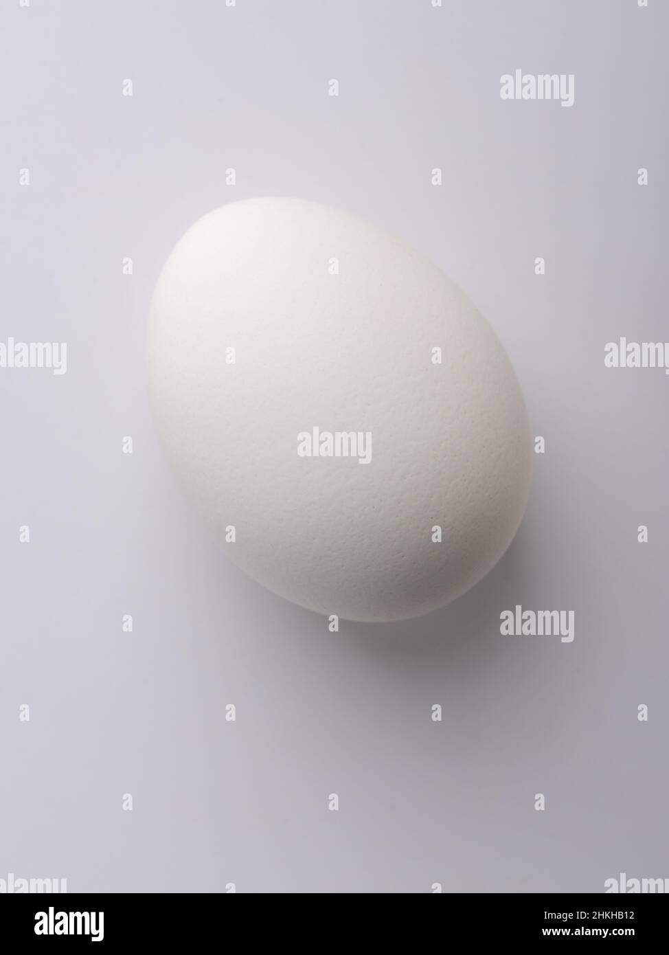 Light and shadow on a chicken egg. Light on the sharp end of the egg ...