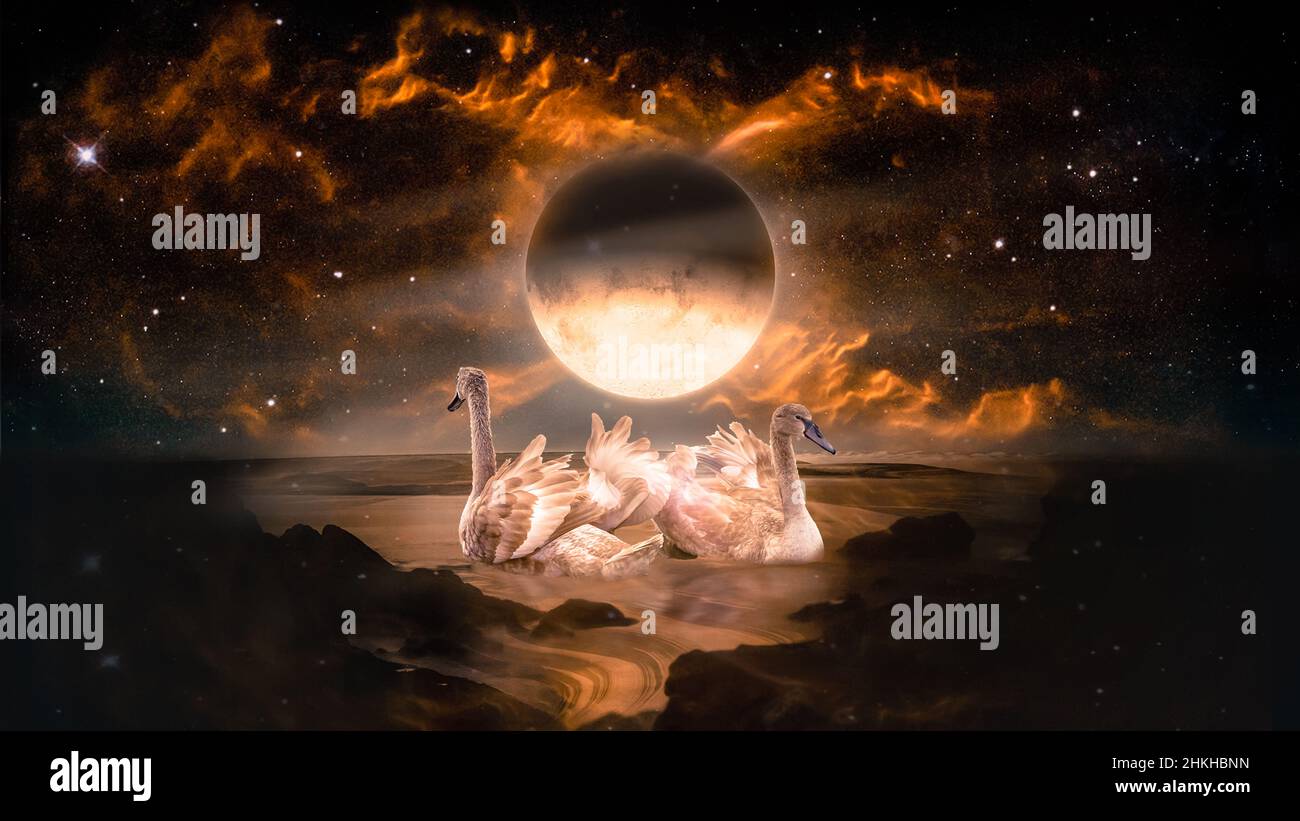 Flaming bird hi-res stock photography and images - Alamy