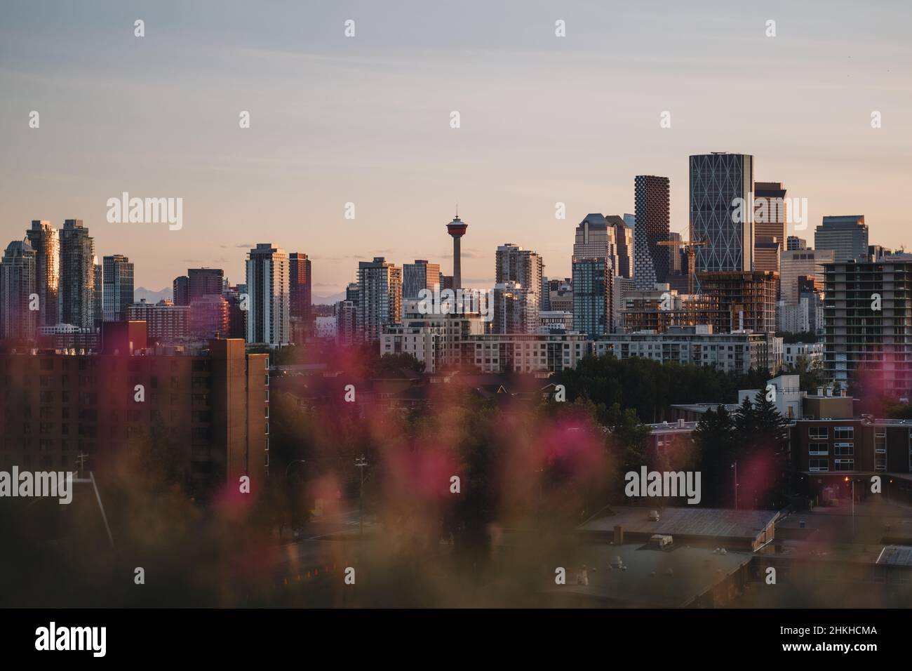 Wide angle photograph of Calgary, Alberta, Canada on a warm summer ...