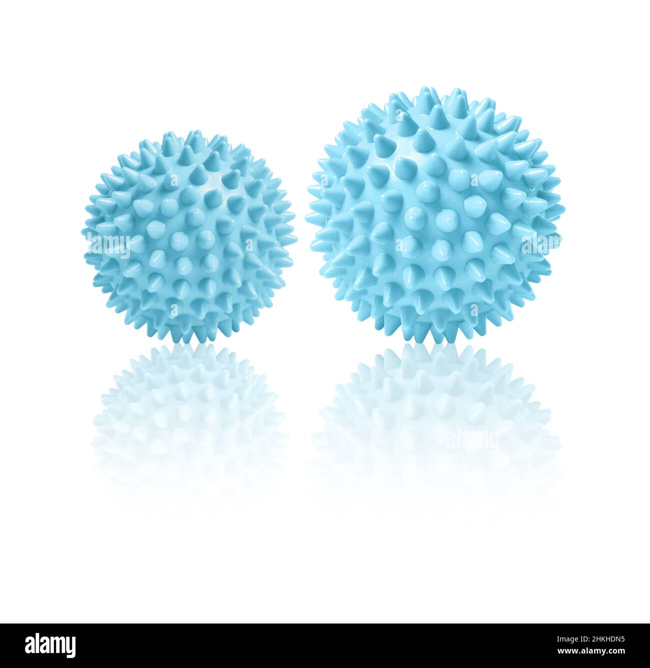 Two blue spiny massage balls isolated on white. Concept of ...
