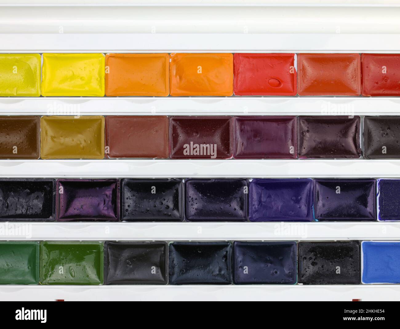 Top view watercolor paints in a plastic container. Watercolor in ...