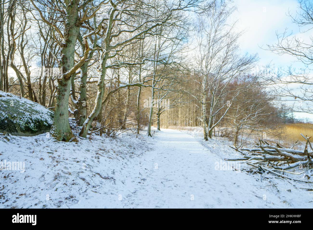 The Greater Amund Island is a nature reserve on the Swedish west coast ...