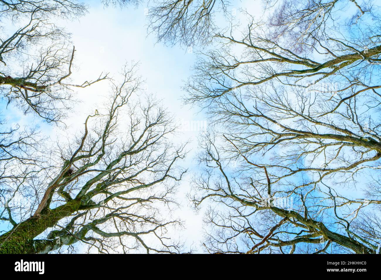 The Greater Amund Island is a nature reserve on the Swedish west coast ...