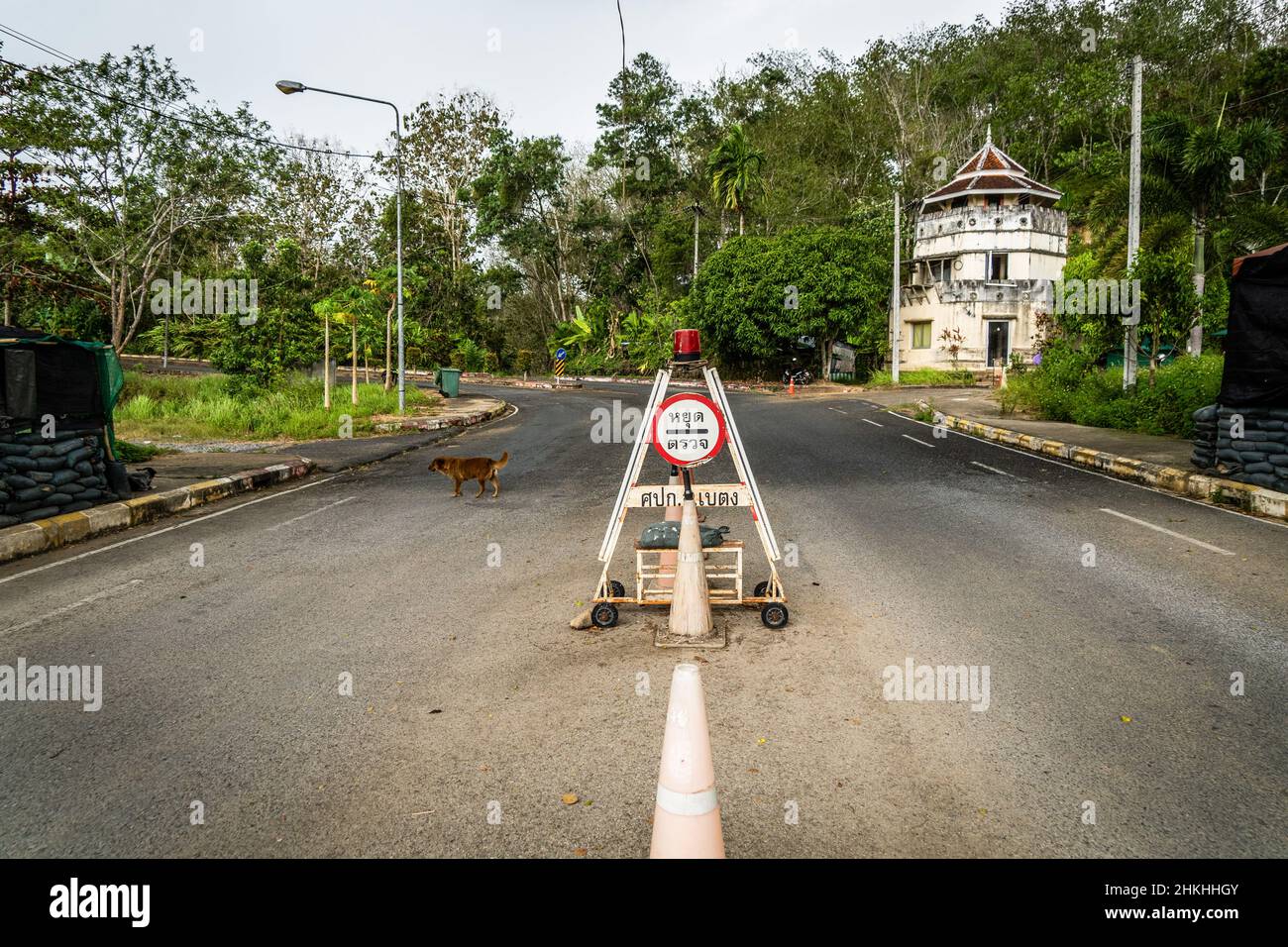 A dog walks a cross an armed security checkpoint in Betong. Daily life ...