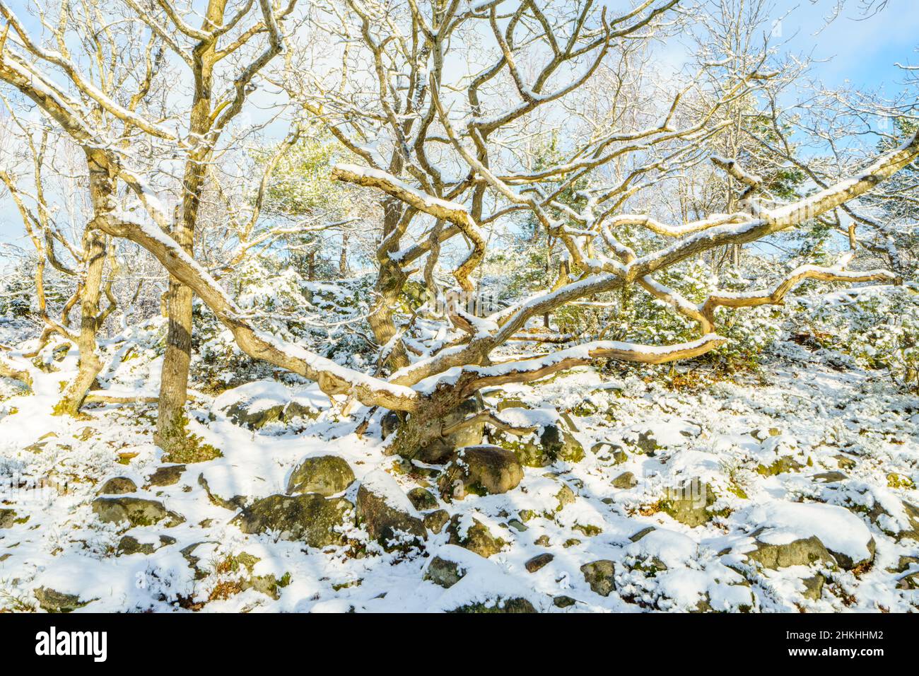 The Greater Amund Island is a nature reserve on the Swedish west coast ...