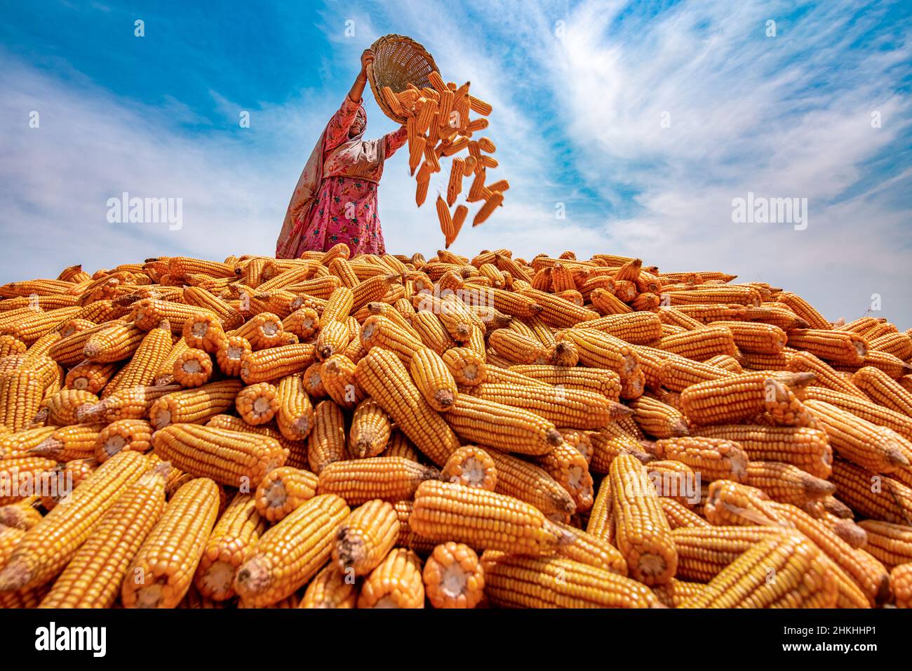 Locals are processing corn/maize Stock Photo - Alamy