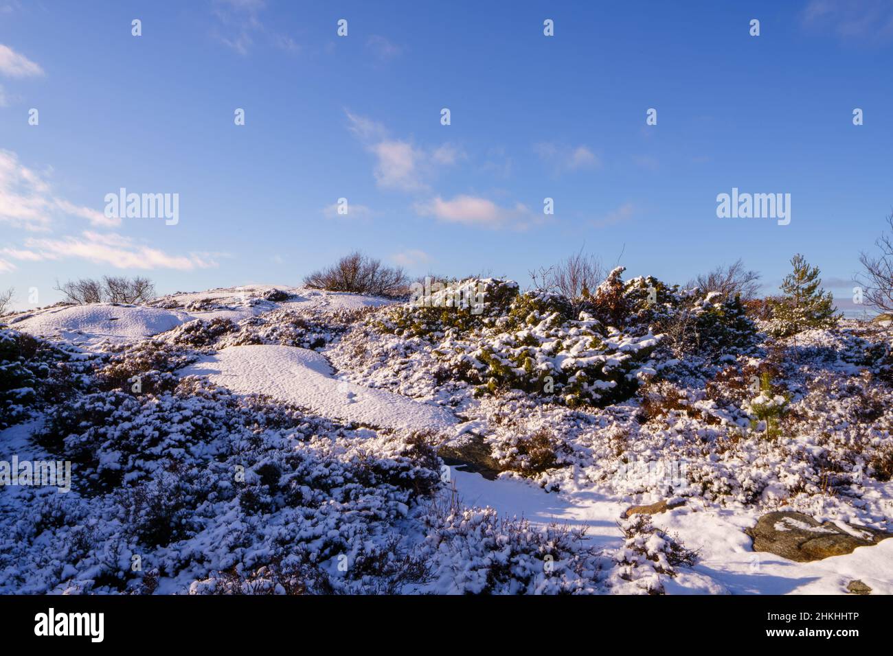 The Greater Amund Island is a nature reserve on the Swedish west coast ...
