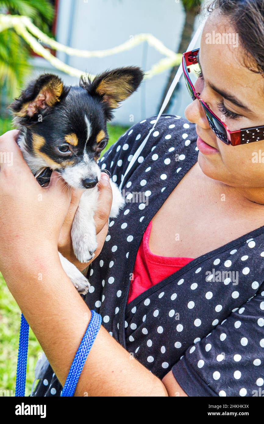 Volunteer teen dog hi-res stock photography and images - Alamy