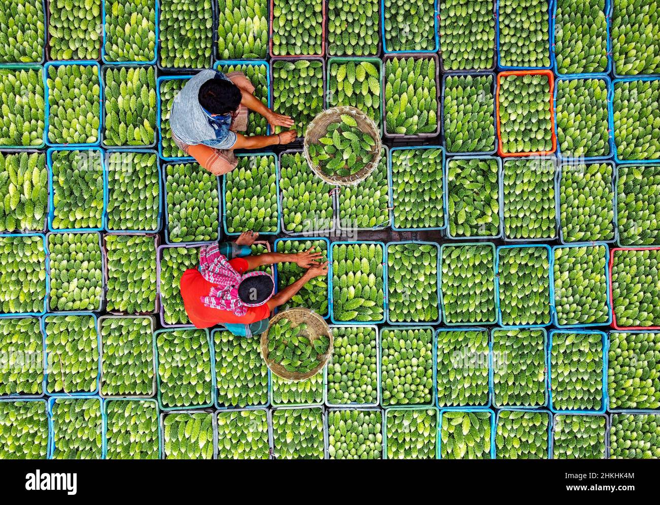 0712 hi-res stock photography and images - Alamy