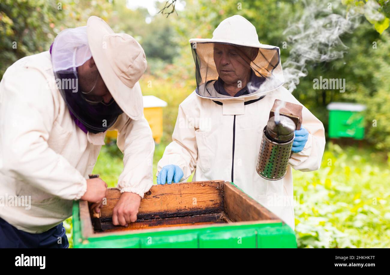 Caring for bees hi-res stock photography and images - Alamy