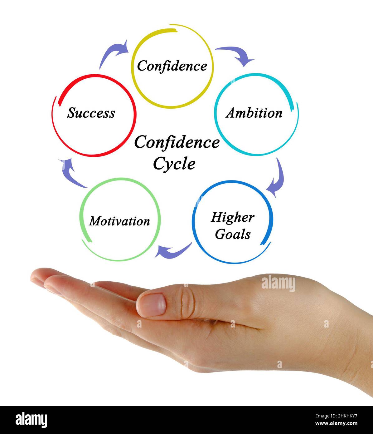 Confidence Cycle: From success to confidence Stock Photo - Alamy