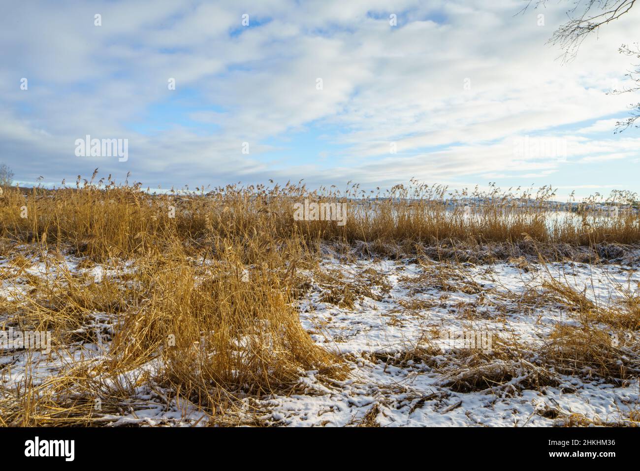 The Greater Amund Island is a nature reserve on the Swedish west coast ...