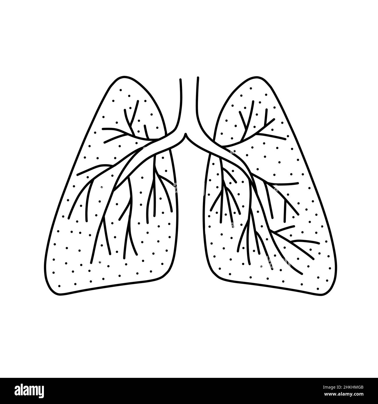 Hand drawn vector illustration of human lungs in doodle style. Cute ...