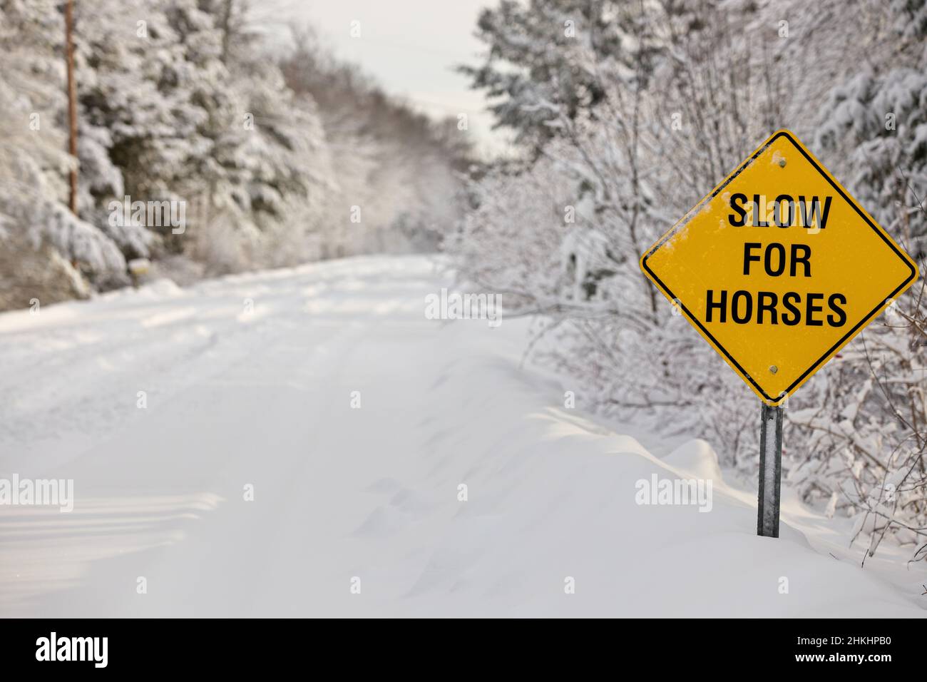 Equestrian crossing hi-res stock photography and images - Alamy