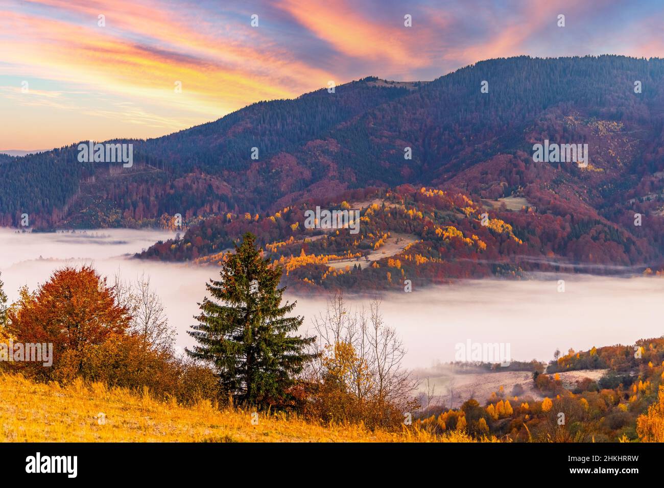 High hill with lush colorful trees and dry yellow grass against deep ...