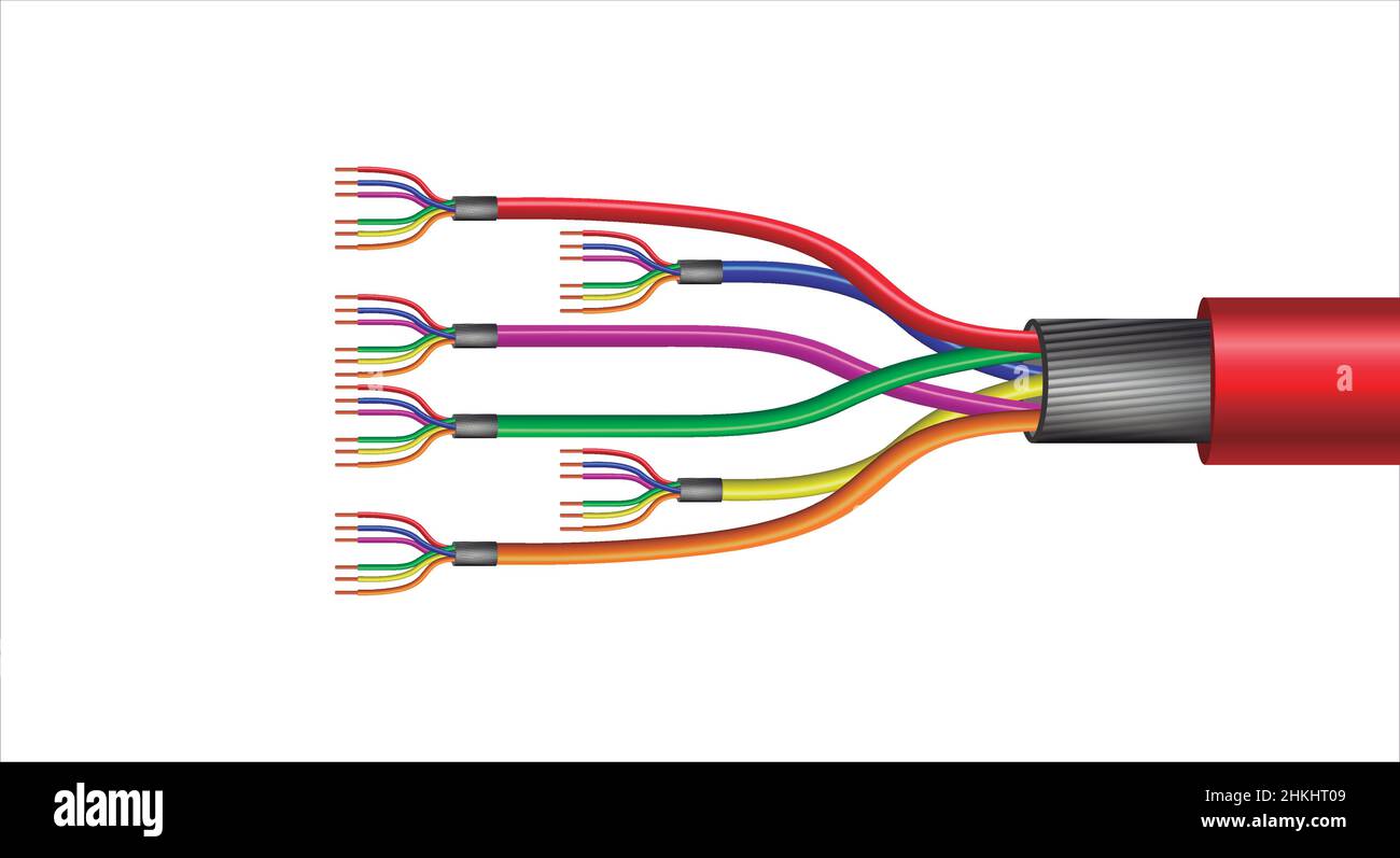 Multicolor Twisted Pair Copper Cables with shield structure. 3d ...