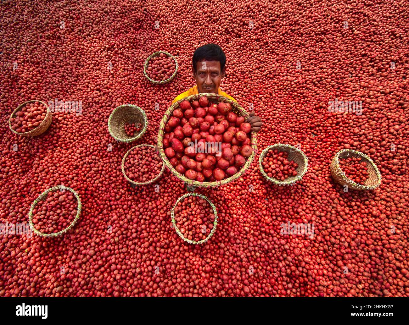 Thousands of bright red potatoes are washed and sorted at a vegetable ...