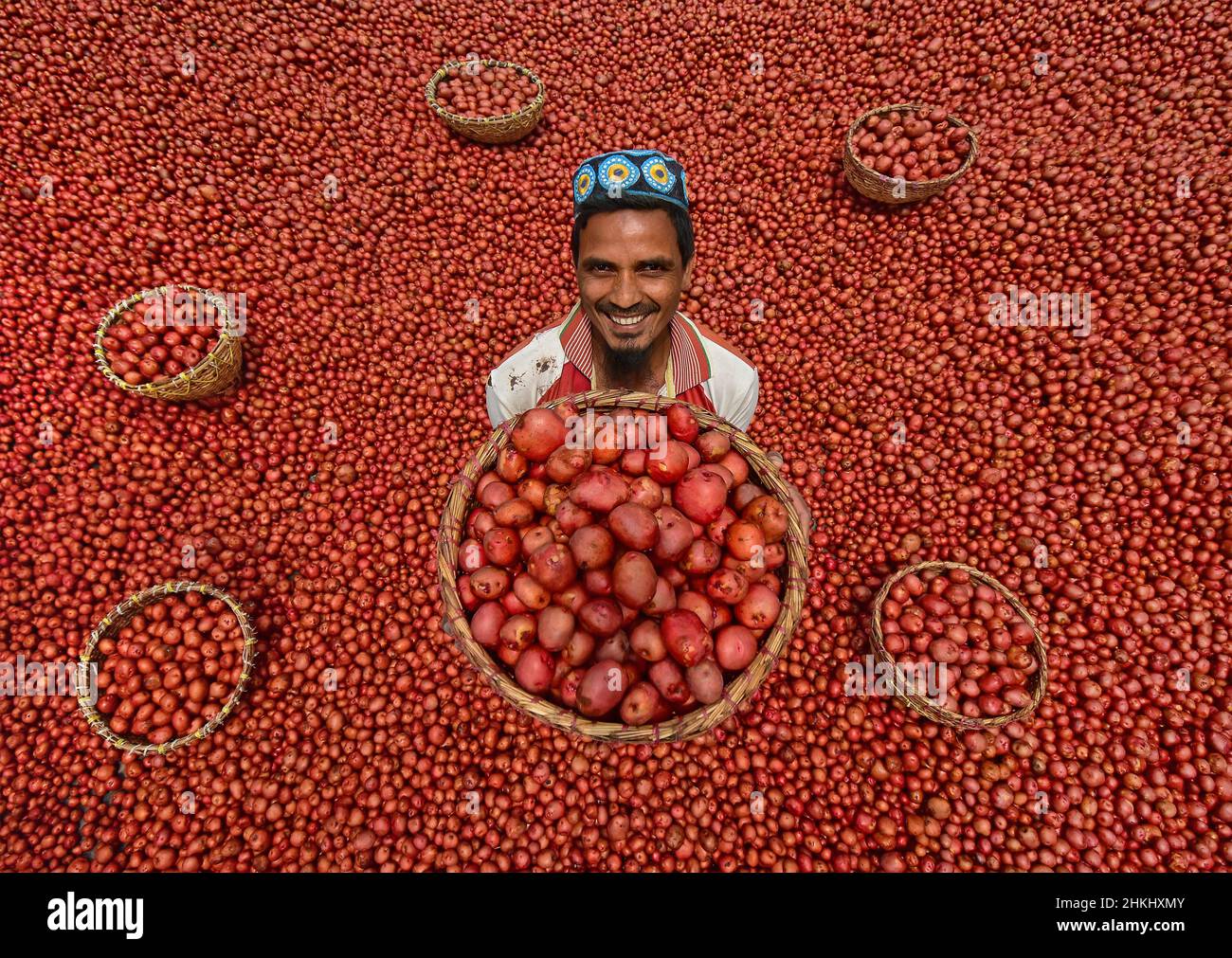 Thousands of bright red potatoes are washed and sorted at a vegetable ...