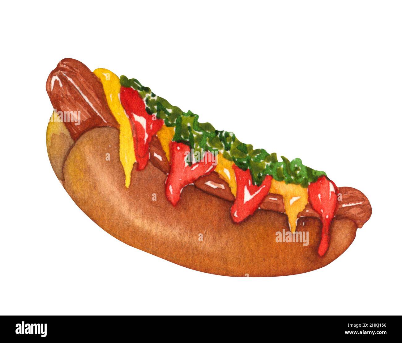 Watercolor traditional hotdog. Hand Drawn sosige with ketchup and ...