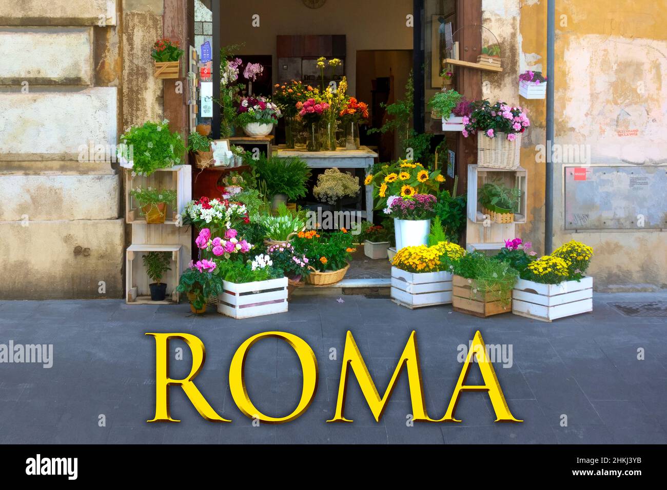 Roman flower hi-res stock photography and images - Alamy