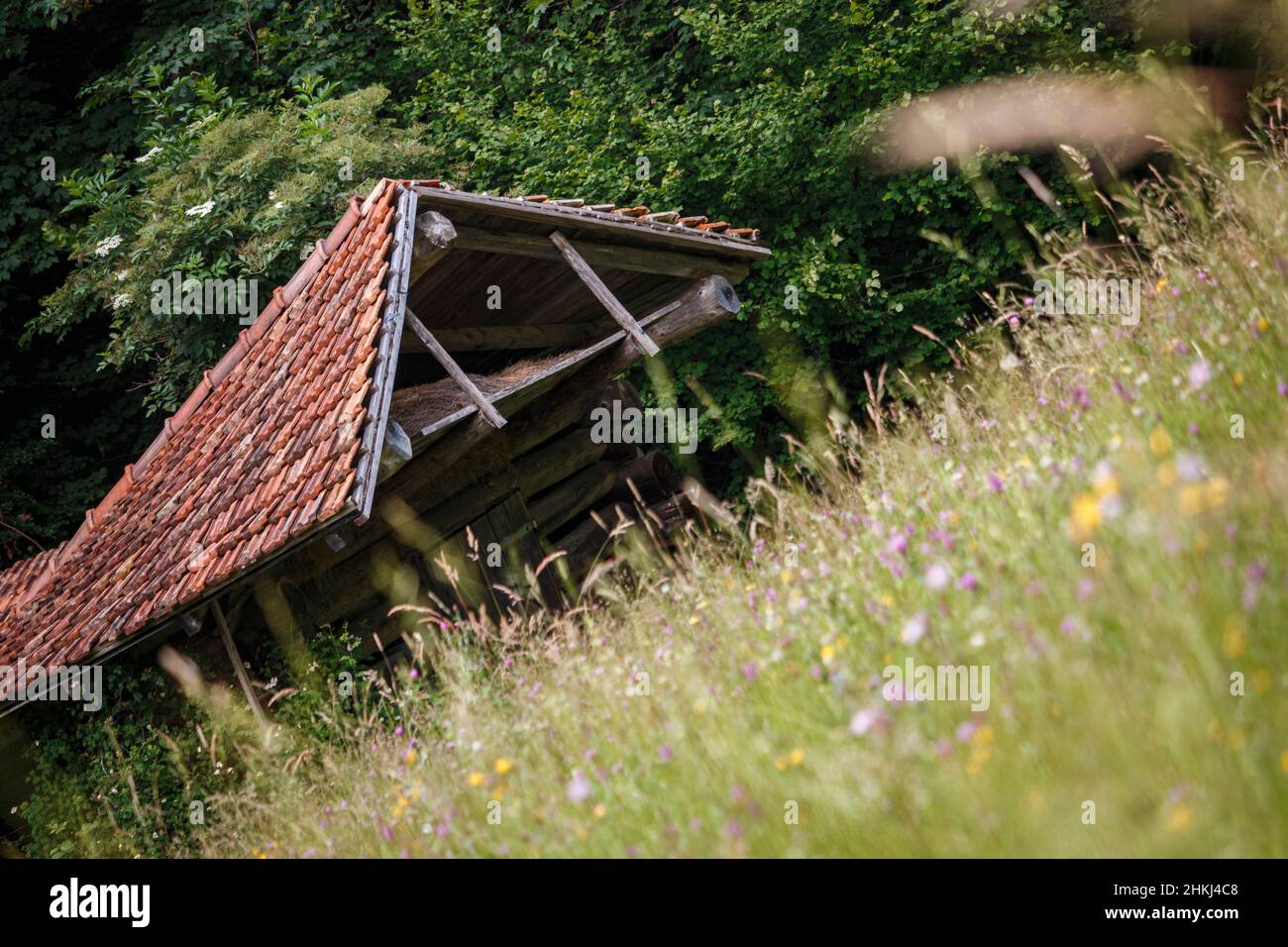 Forest farm plantation mountains hi-res stock photography and images ...