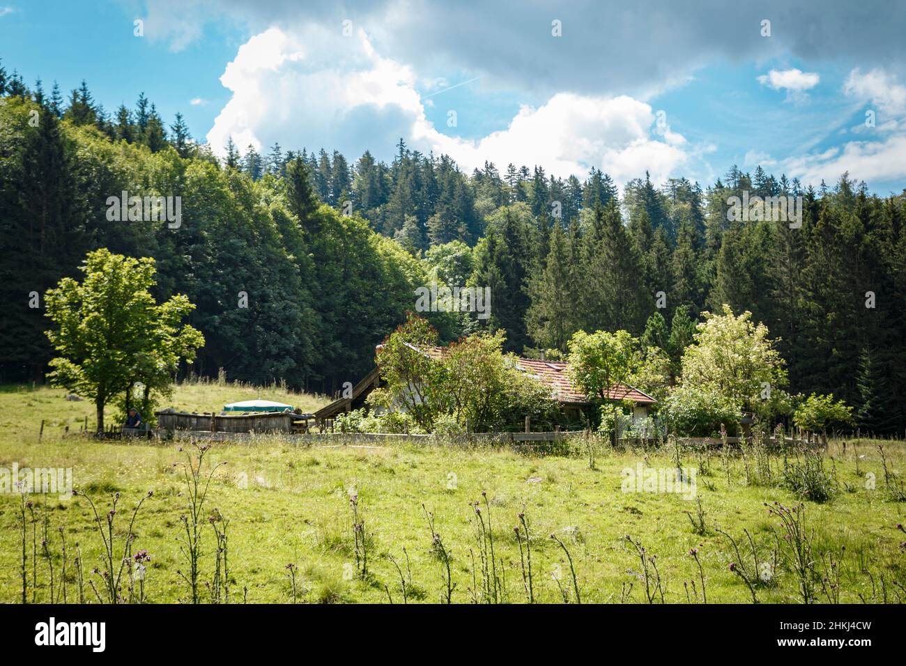 Farmer in forest hi-res stock photography and images - Alamy
