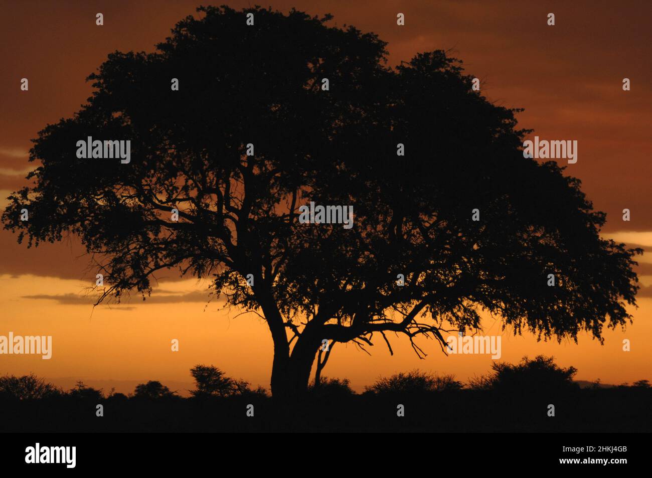 South africa https hi-res stock photography and images - Alamy