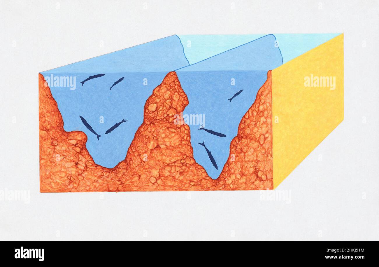 Beaked whales separate deep sea trenches, illustration Stock Photo - Alamy