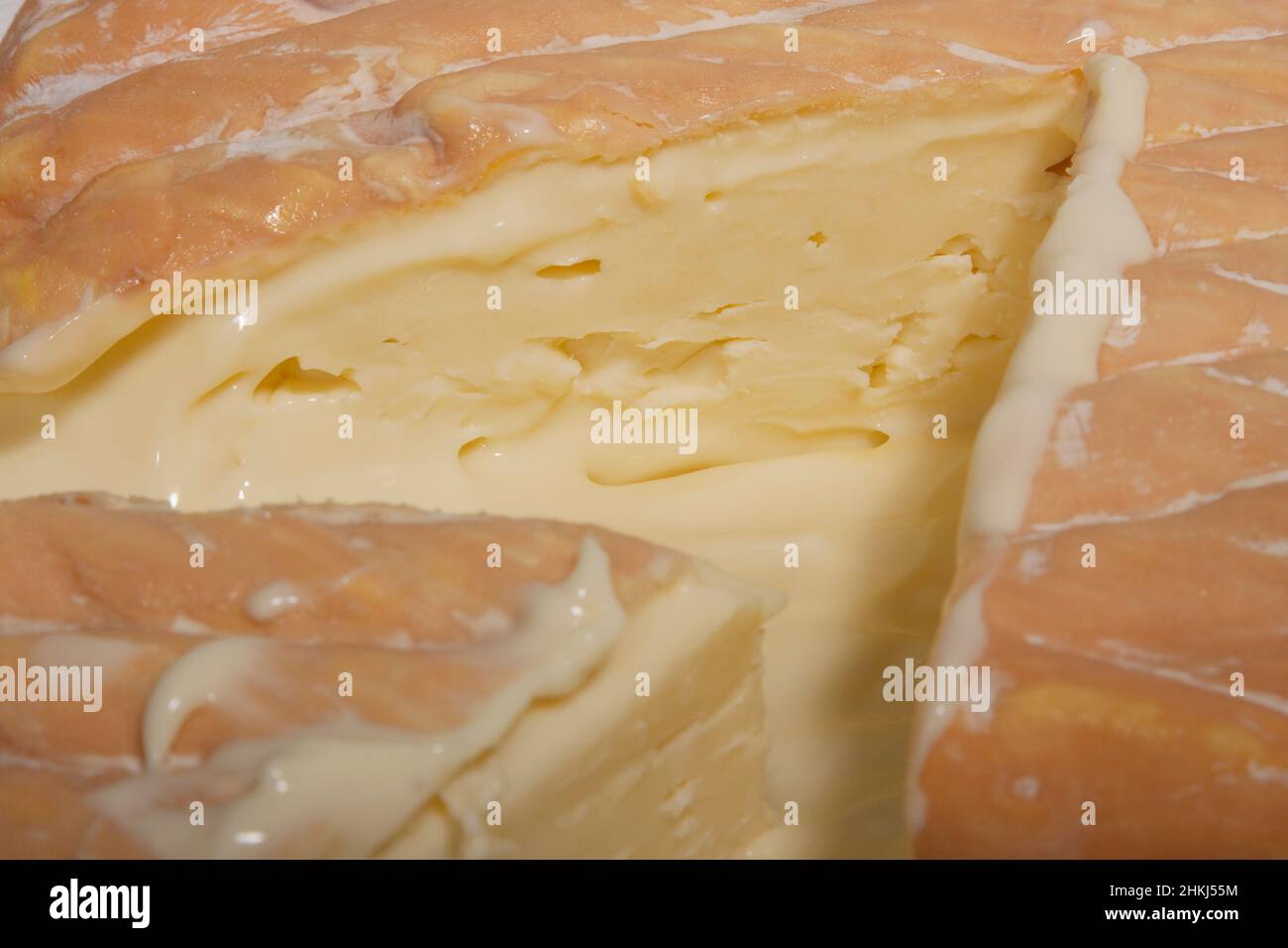 Australian Jensen's Red Washed Rind cow's milk cheese Stock Photo - Alamy