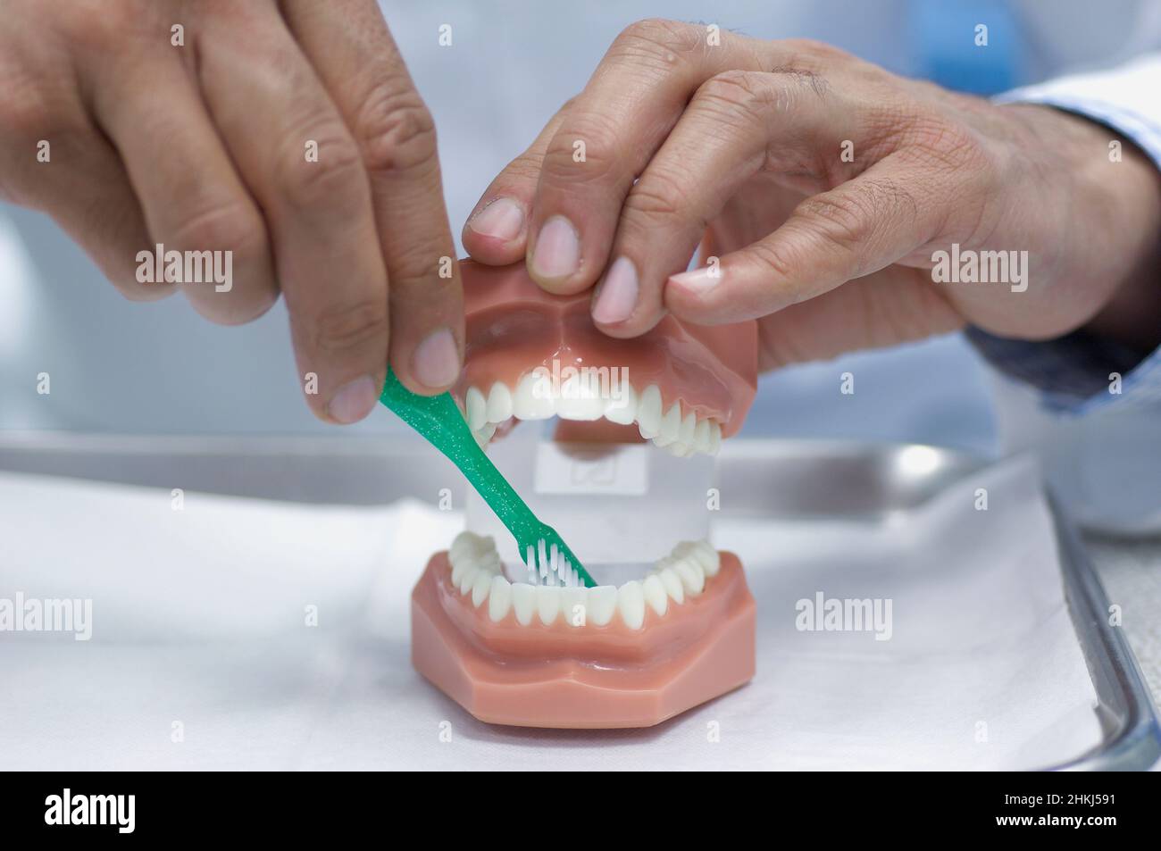 Dentist demonstrating how to wash teeth with toothbrush Stock Photo - Alamy