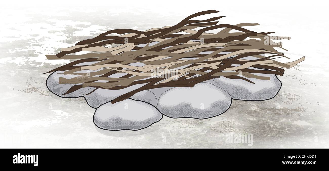 Cooking with hot rocks and tinder, illustration Stock Photo - Alamy