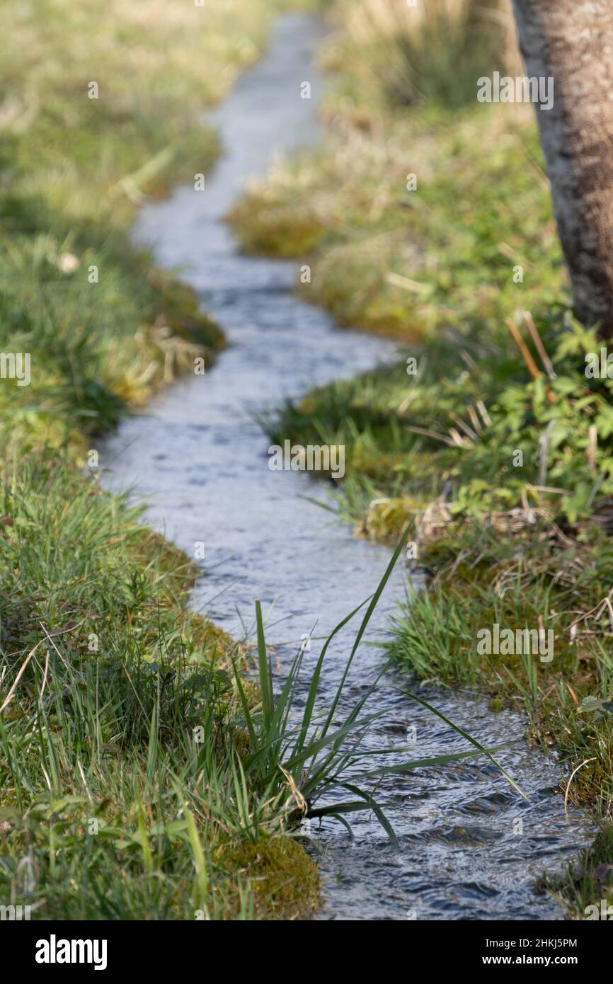 Fluss quelle hi-res stock photography and images - Alamy