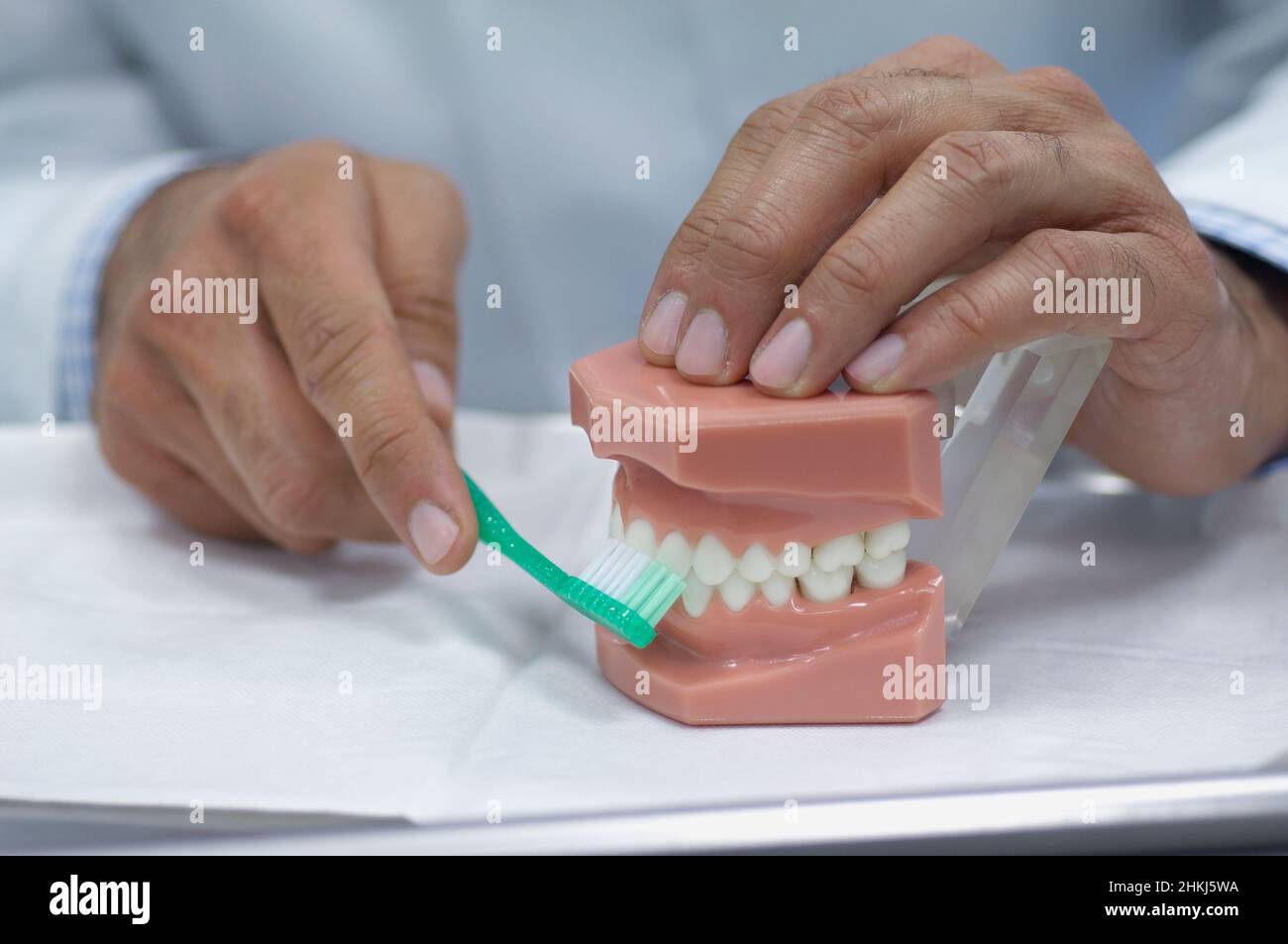 Dentist demonstrating how to wash teeth with toothbrush Stock Photo - Alamy
