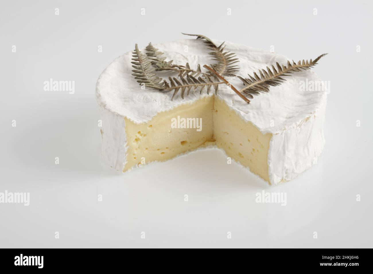 French Fougerus cow's milk cheese decorated with fern leaves Stock ...