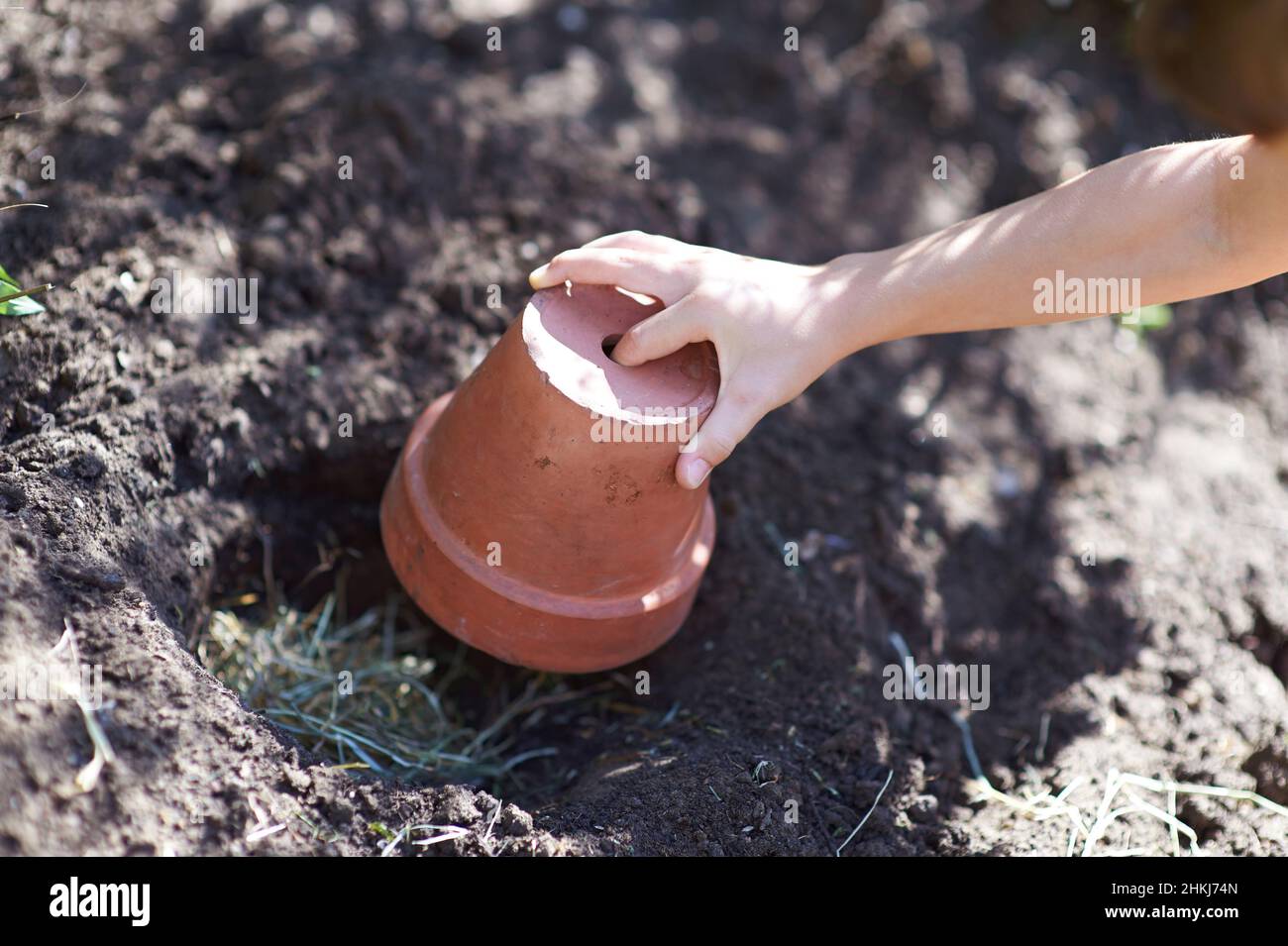 Making a bumble bee nest box Stock Photo - Alamy