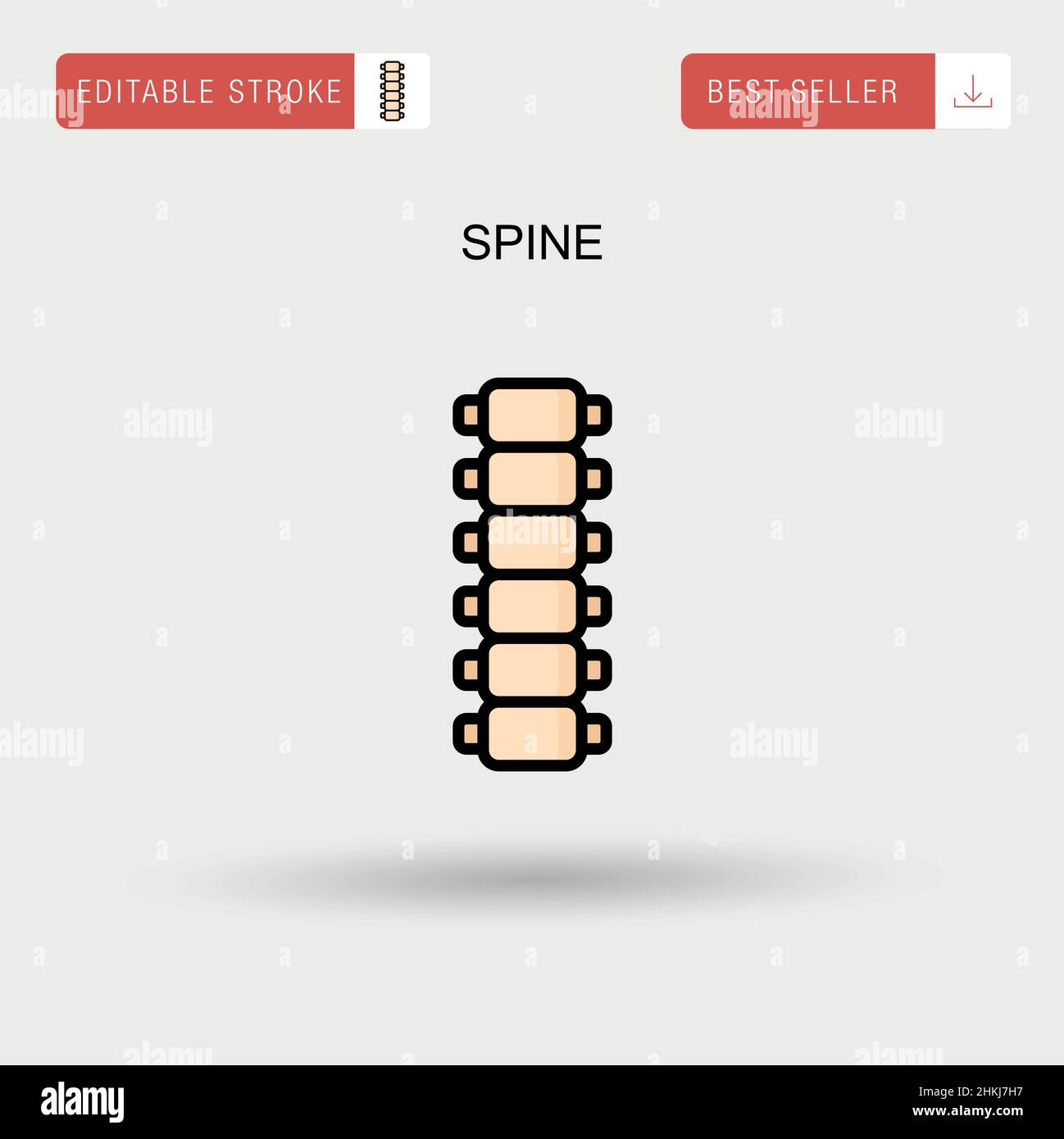 Spine Stock Vector Images - Alamy