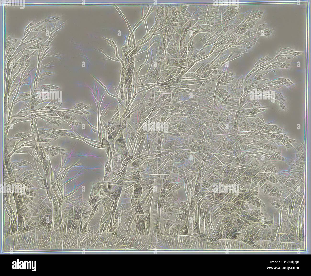 Inspired by Tree study, draughtsman: Steven Goblé, 1759 - 1799, paper ...