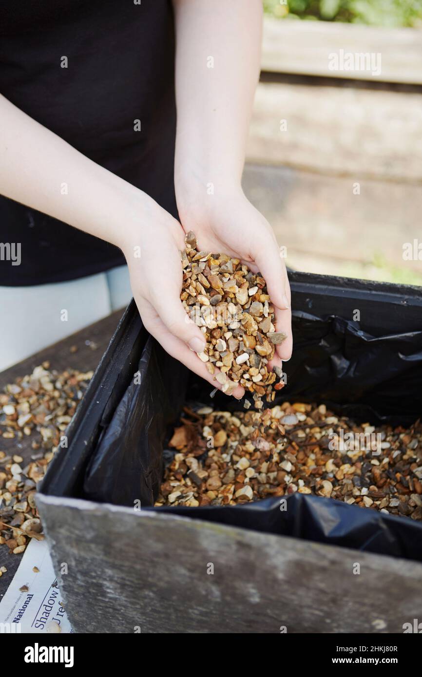 Slate box planter Stock Photo - Alamy
