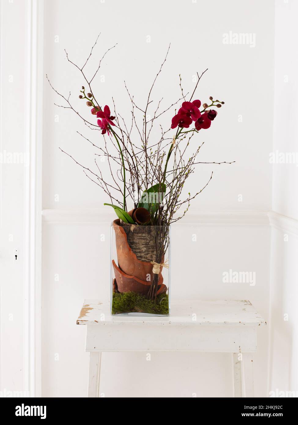 Orchid tank flower arrangement Stock Photo - Alamy