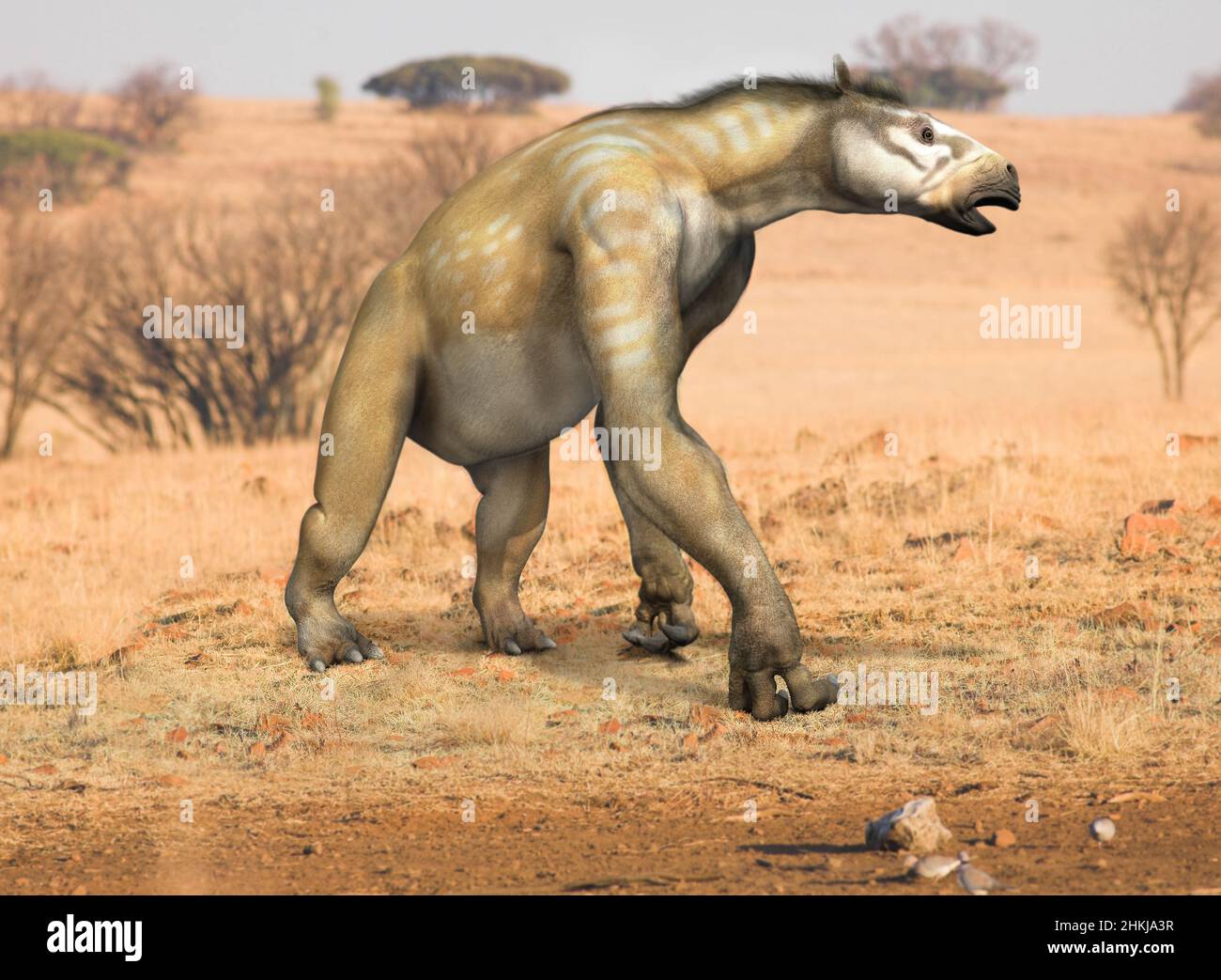 Chalicotherium sp., illustration Stock Photo - Alamy