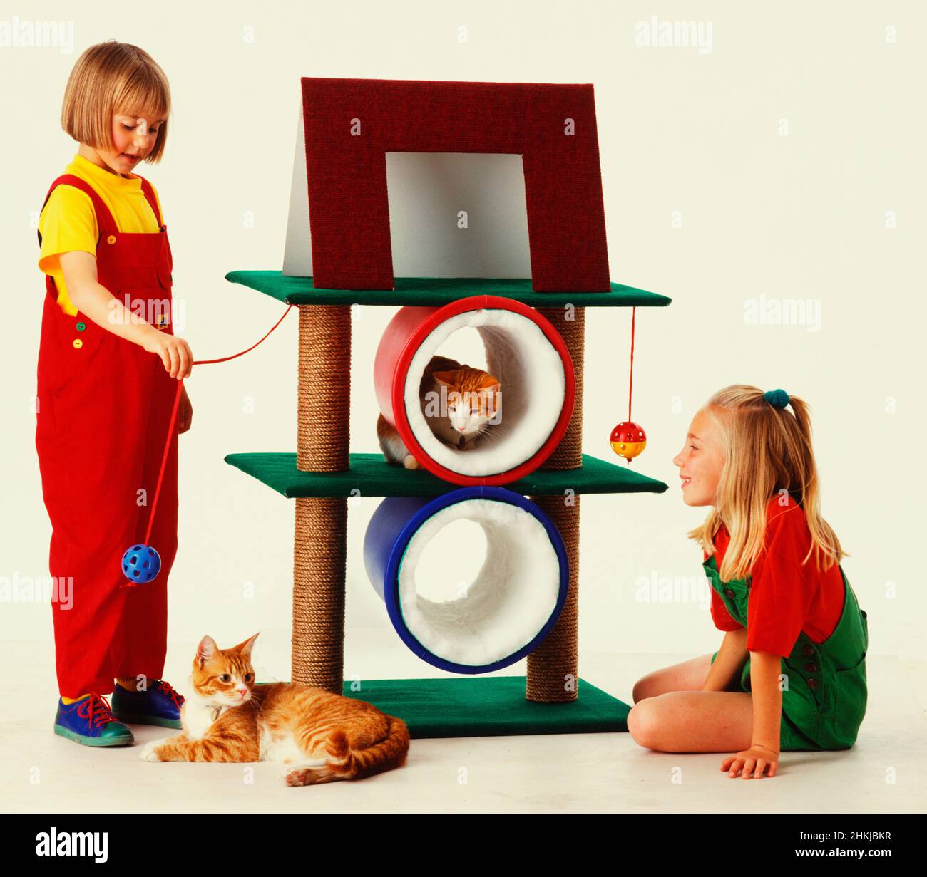 Girls playing with cats in cats' adventure playground Stock Photo - Alamy